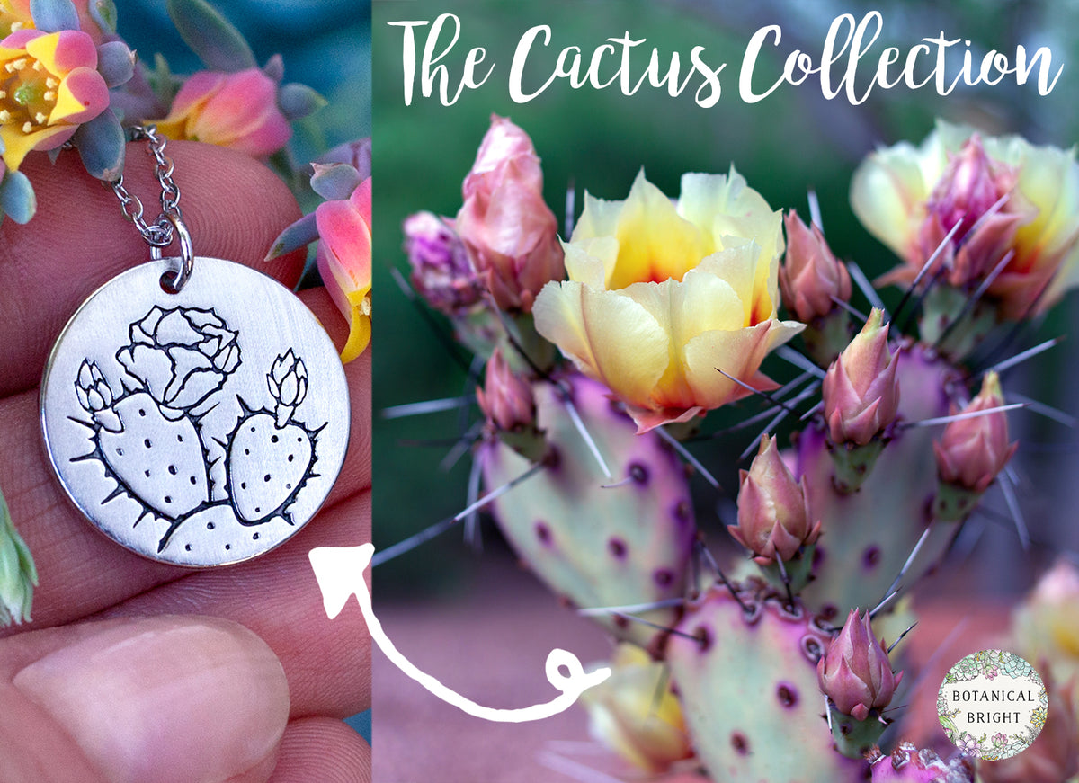 Cactus Collection Inspiration - Opuntia – Botanical Bright