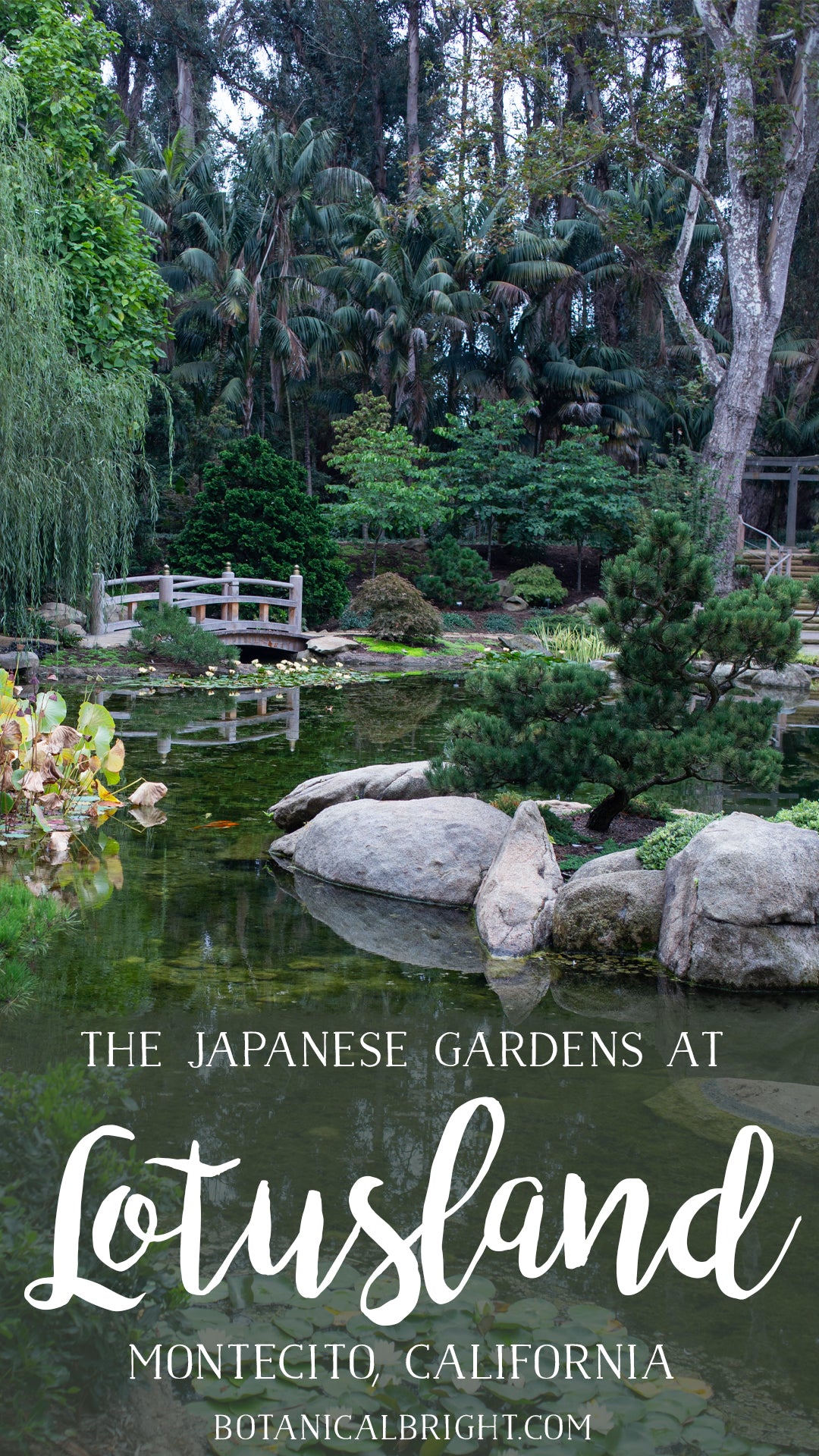 Botanical Bright Blog – Botanical Bright - Add a Little Beauty to Your ...