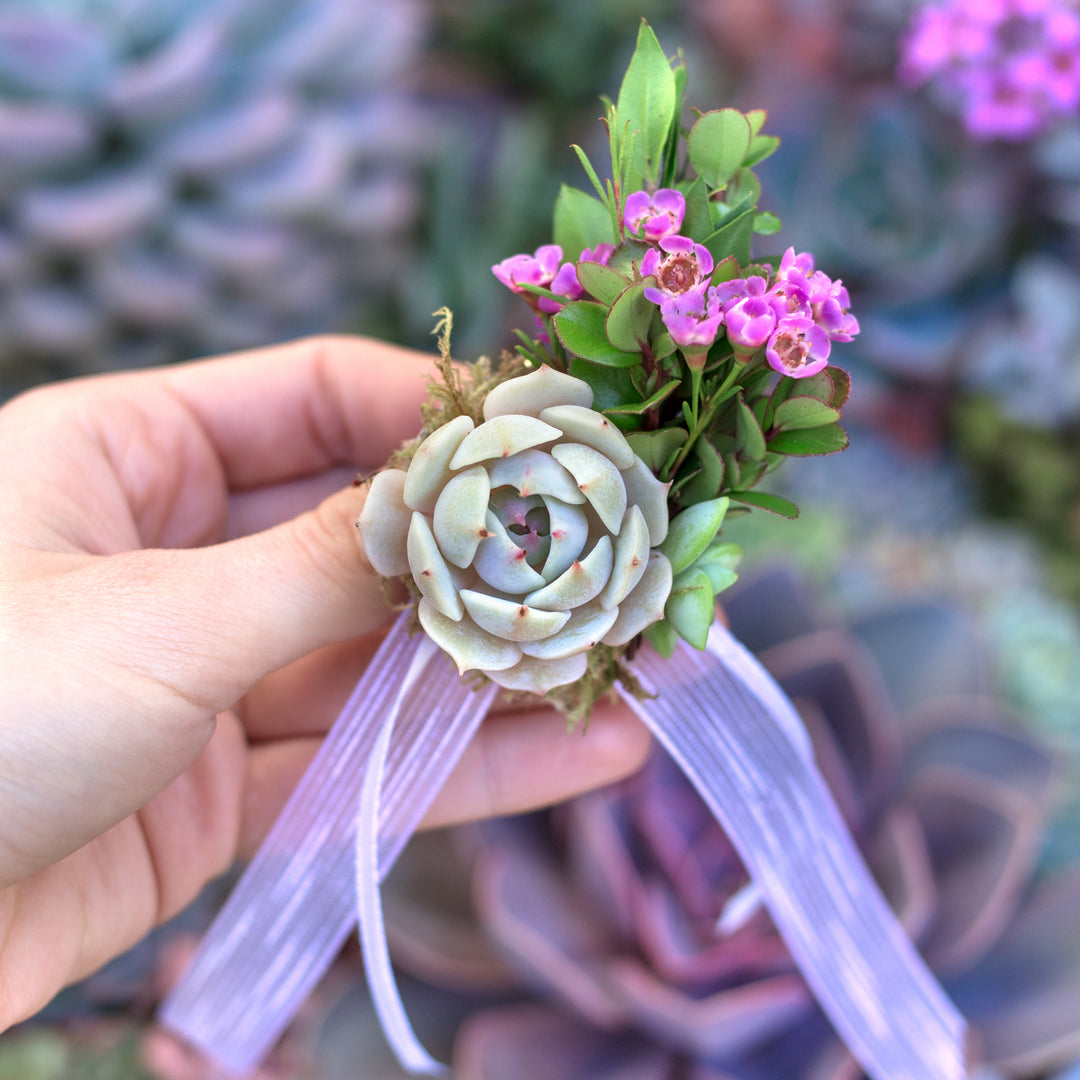 DIY Mini Succulent Pins – Botanical Bright