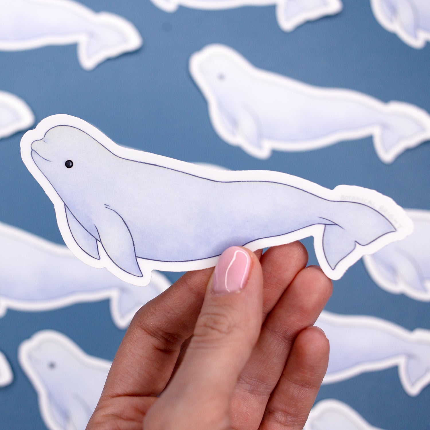 Beluga Whale Waterproof Vinyl Sticker – Botanical Bright