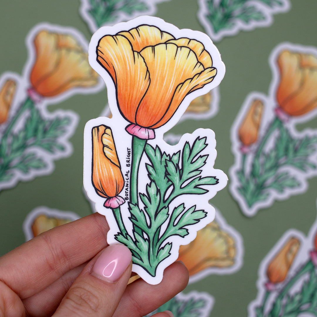 California Poppy Flower Waterproof Vinyl Sticker – Botanical Bright