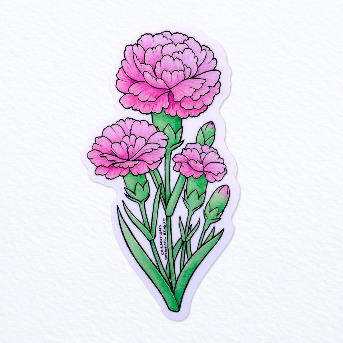 Carnation Waterproof Vinyl Sticker – Botanical Bright - Add a Little ...