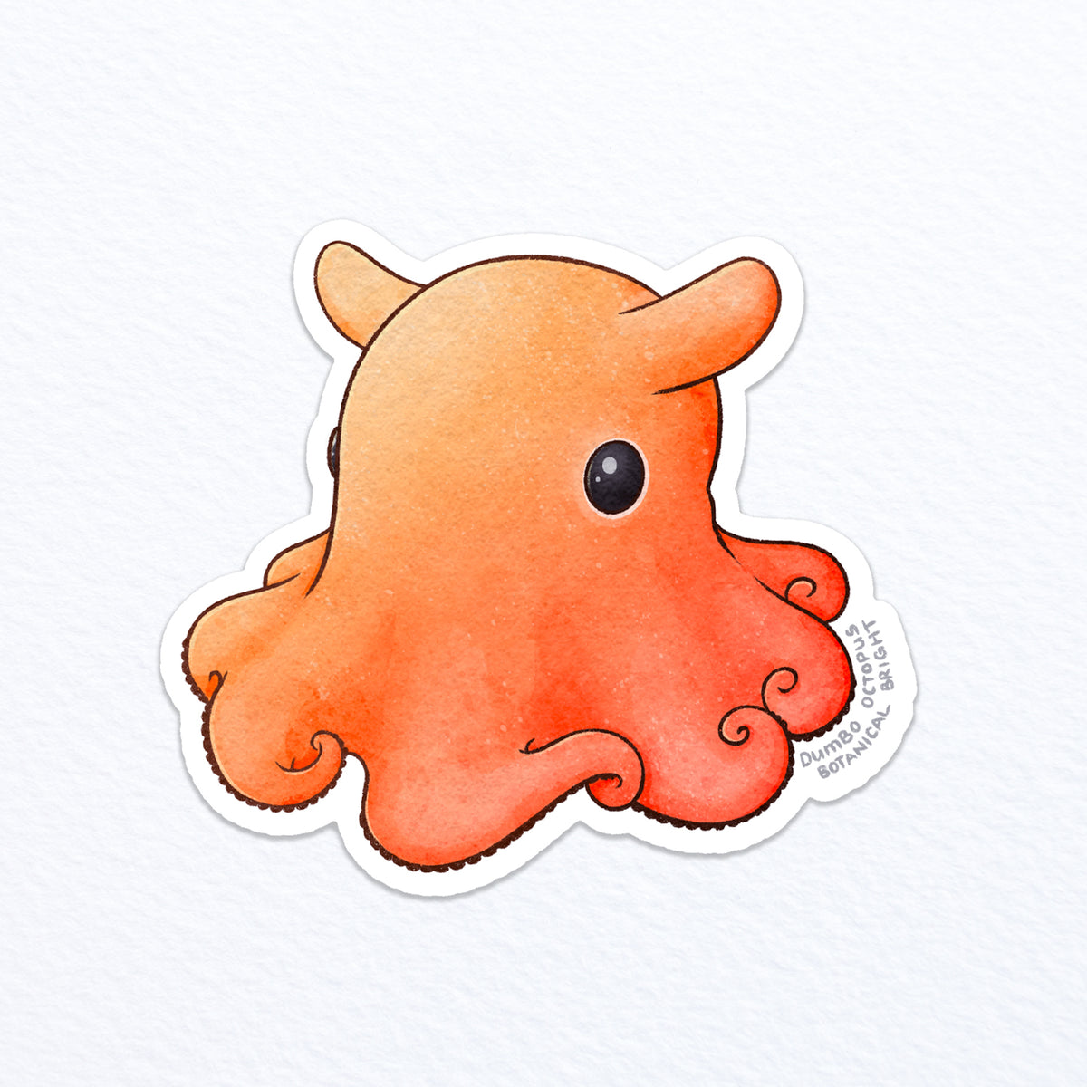 Dumbo Octopus Waterproof Vinyl Sticker – Botanical Bright