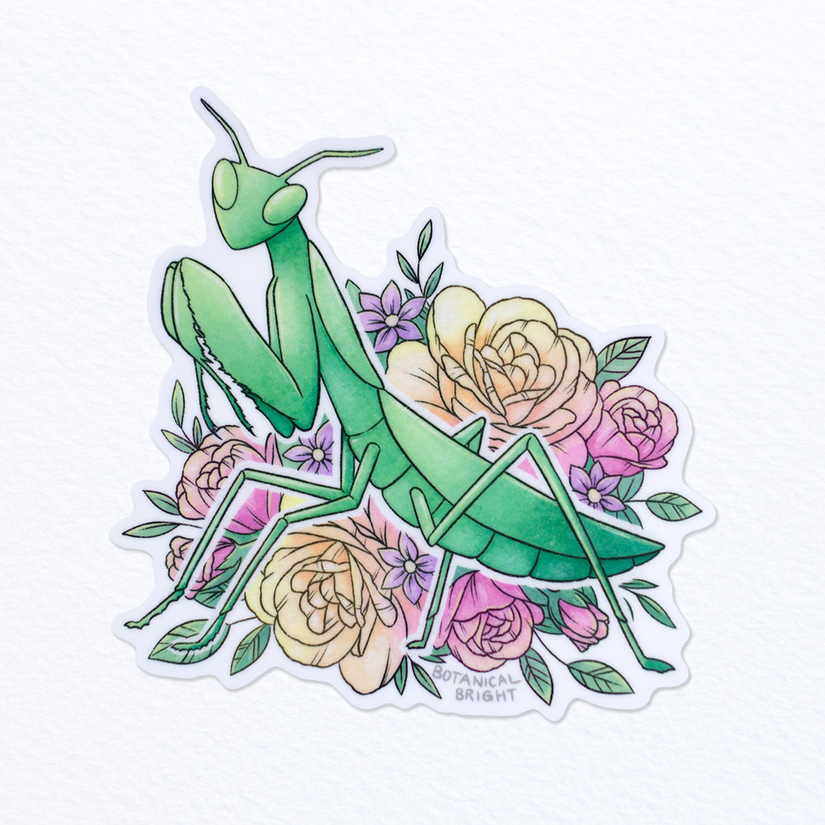 European Praying Mantis with Roses Waterproof Vinyl Sticker – Botanical ...