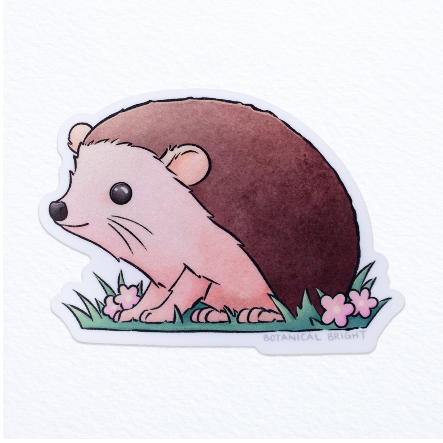 Hedgehog Waterproof Vinyl Sticker – Botanical Bright