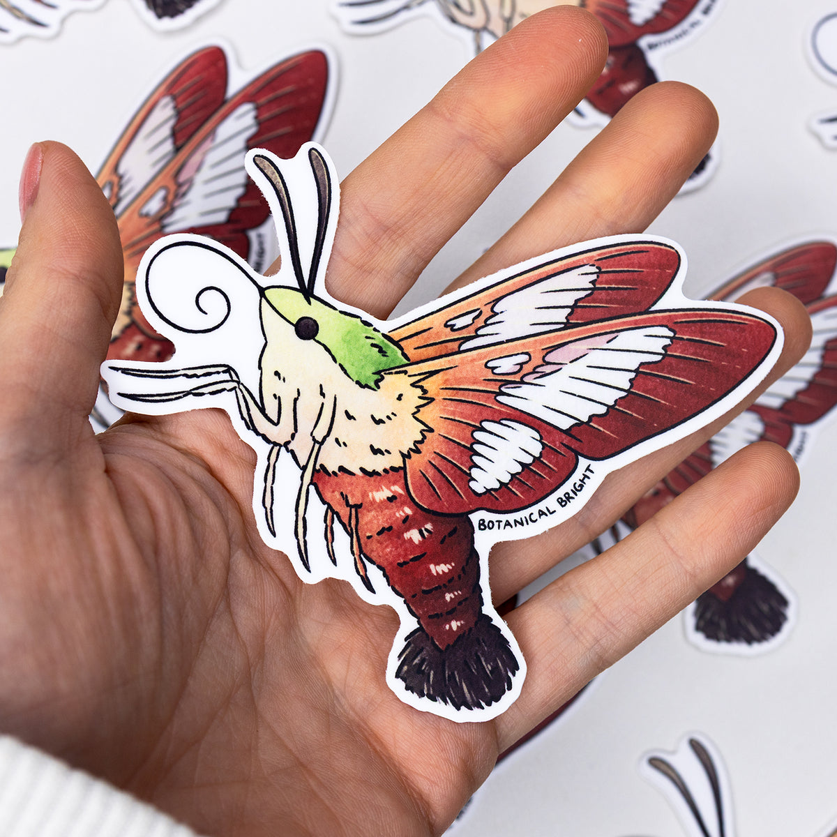 Hummingbird Moth Waterproof Vinyl Sticker – Botanical Bright