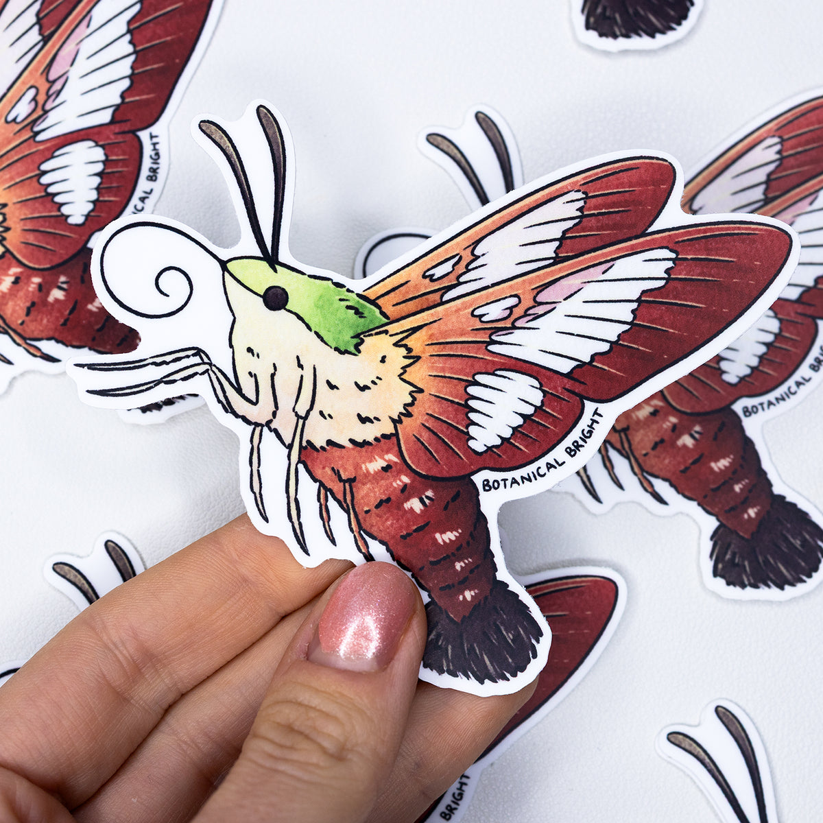 Hummingbird Moth Waterproof Vinyl Sticker – Botanical Bright