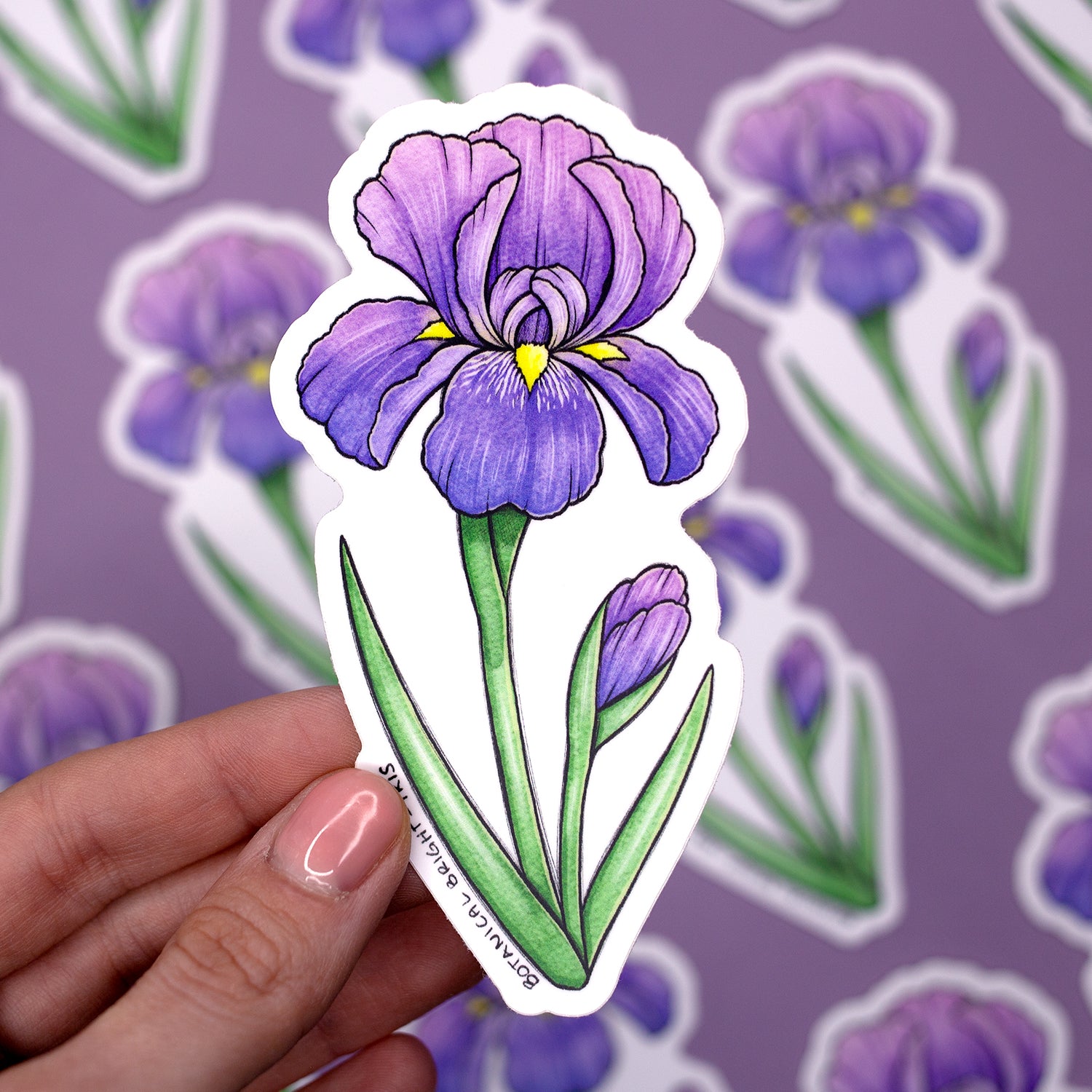 Iris Waterproof Vinyl Sticker – Botanical Bright