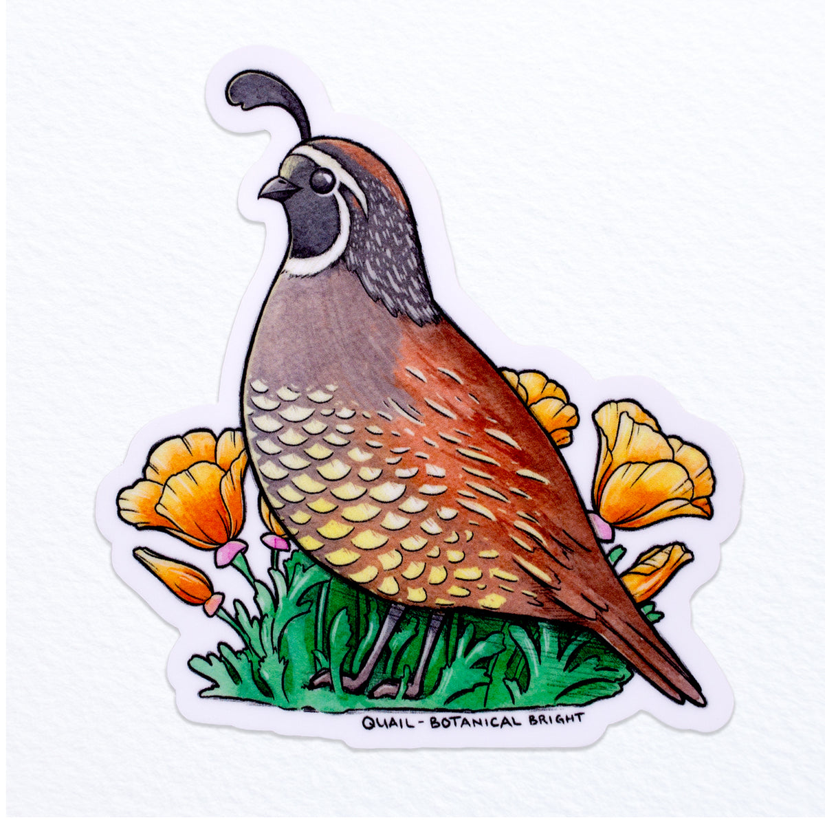 Quail Vinyl Waterproof Sticker – Botanical Bright