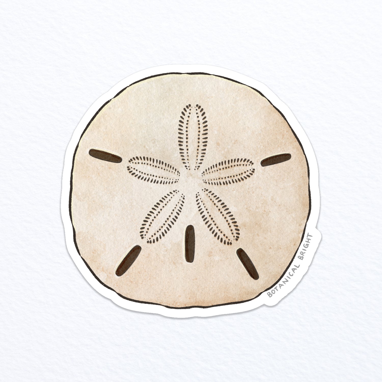 Sand Dollar Waterproof Vinyl Sticker – Botanical Bright