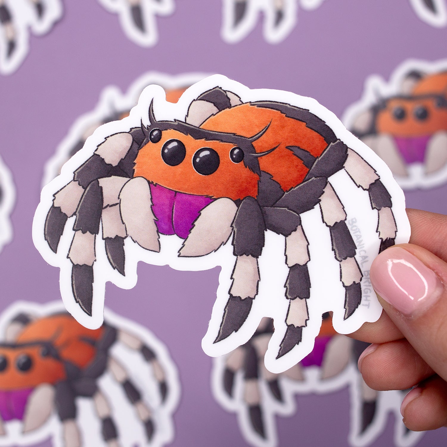 Spider Waterproof Vinyl Sticker – Botanical Bright