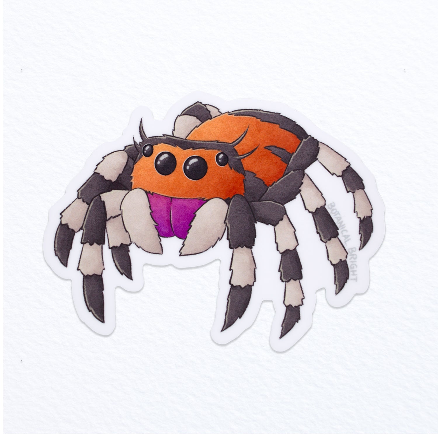 Spider Waterproof Vinyl Sticker – Botanical Bright