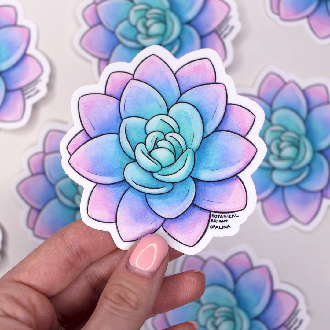 Succulent Graptoveria Opalina Waterproof Vinyl Sticker – Botanical Bright