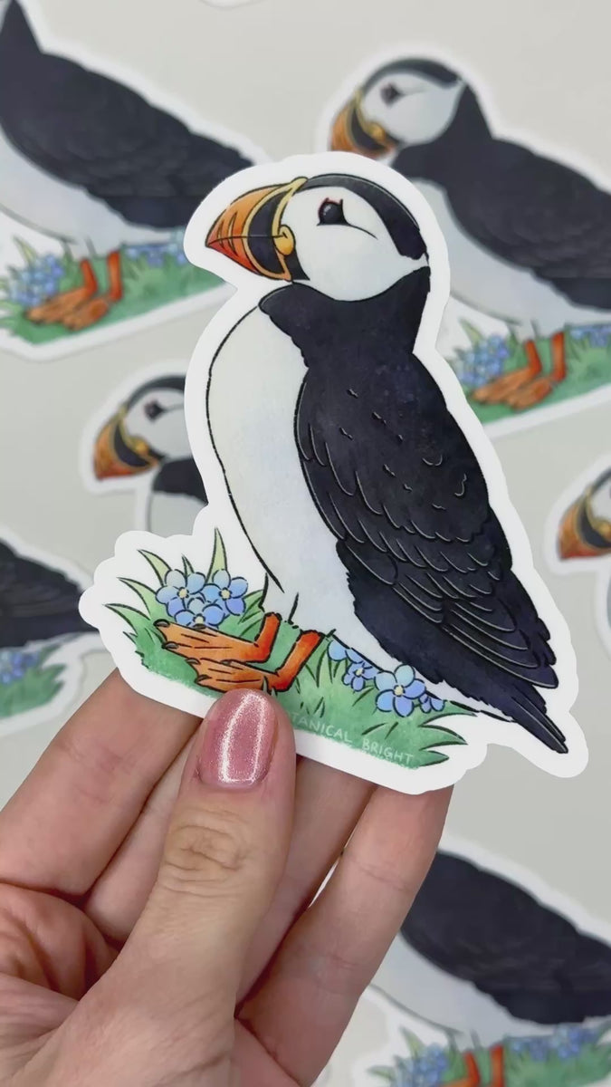 Puffin Waterproof Vinyl Sticker – Botanical Bright - Add a Little ...