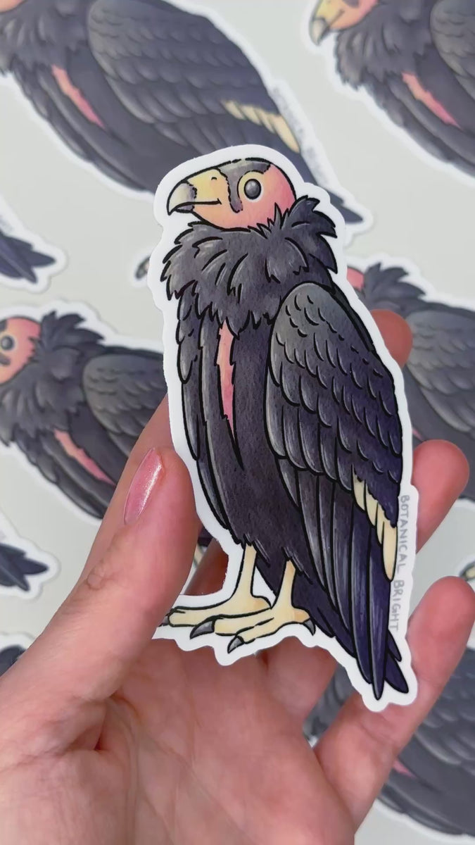 Condor Waterproof Vinyl Sticker – Botanical Bright