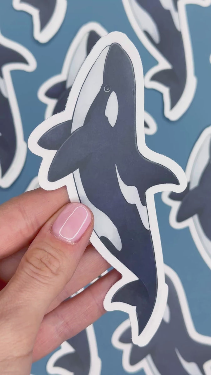 Orca Whale Waterproof Vinyl Sticker – Botanical Bright - Add a Little ...