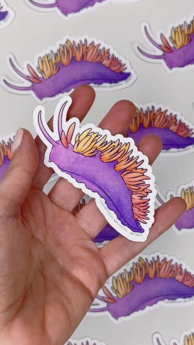 Nudibranch Sea Slug Waterproof Vinyl Sticker – Botanical Bright