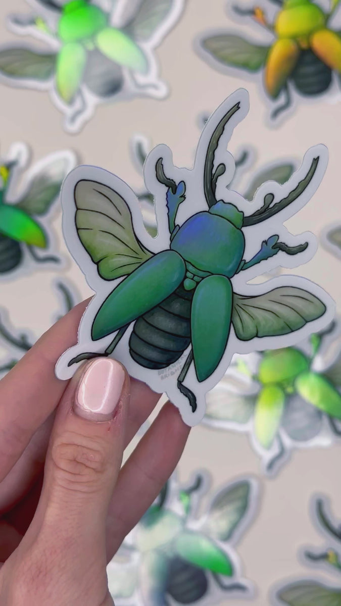 Beetle Holographic Waterproof Vinyl Sticker – Botanical Bright - Add a ...