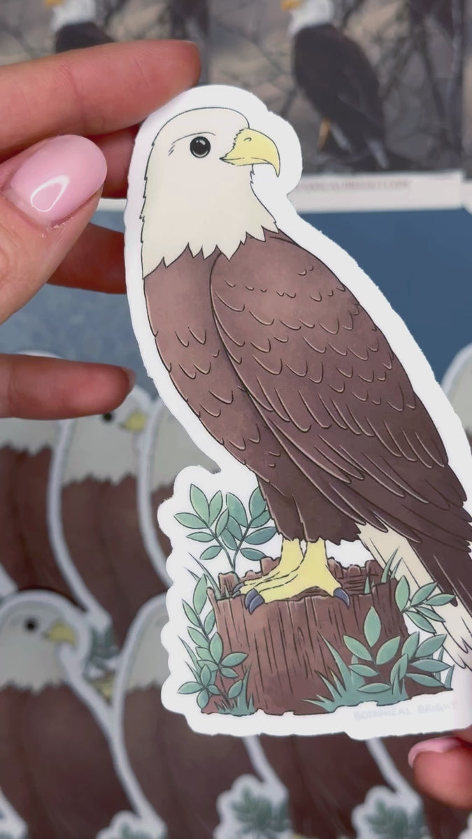Eagle Waterproof Vinyl Sticker – Botanical Bright - Add a Little Beauty ...