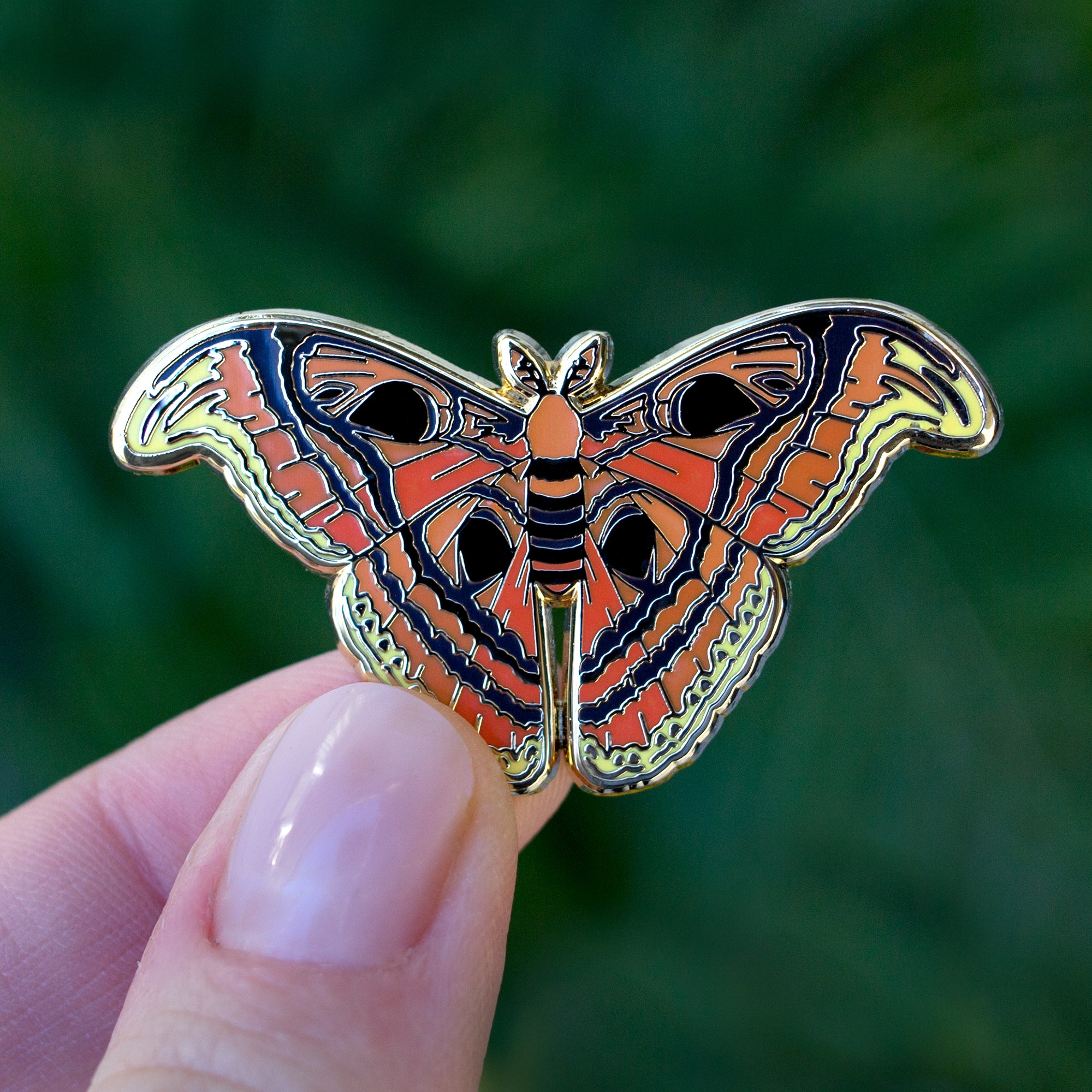 Atlas Moth Enamel Pin – Botanical Bright