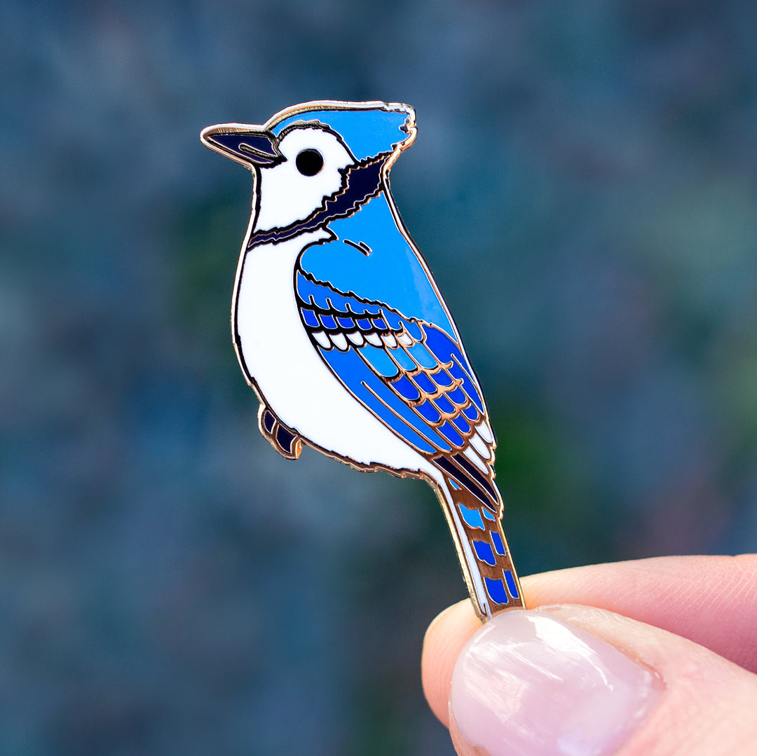 Blue Jay Enamel Pin – Botanical Bright