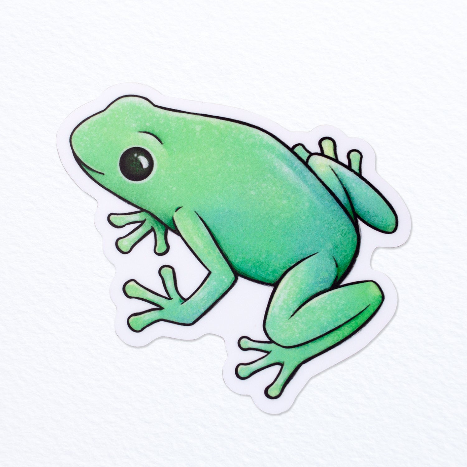 Garden Frog Waterproof Sticker – Botanical Bright